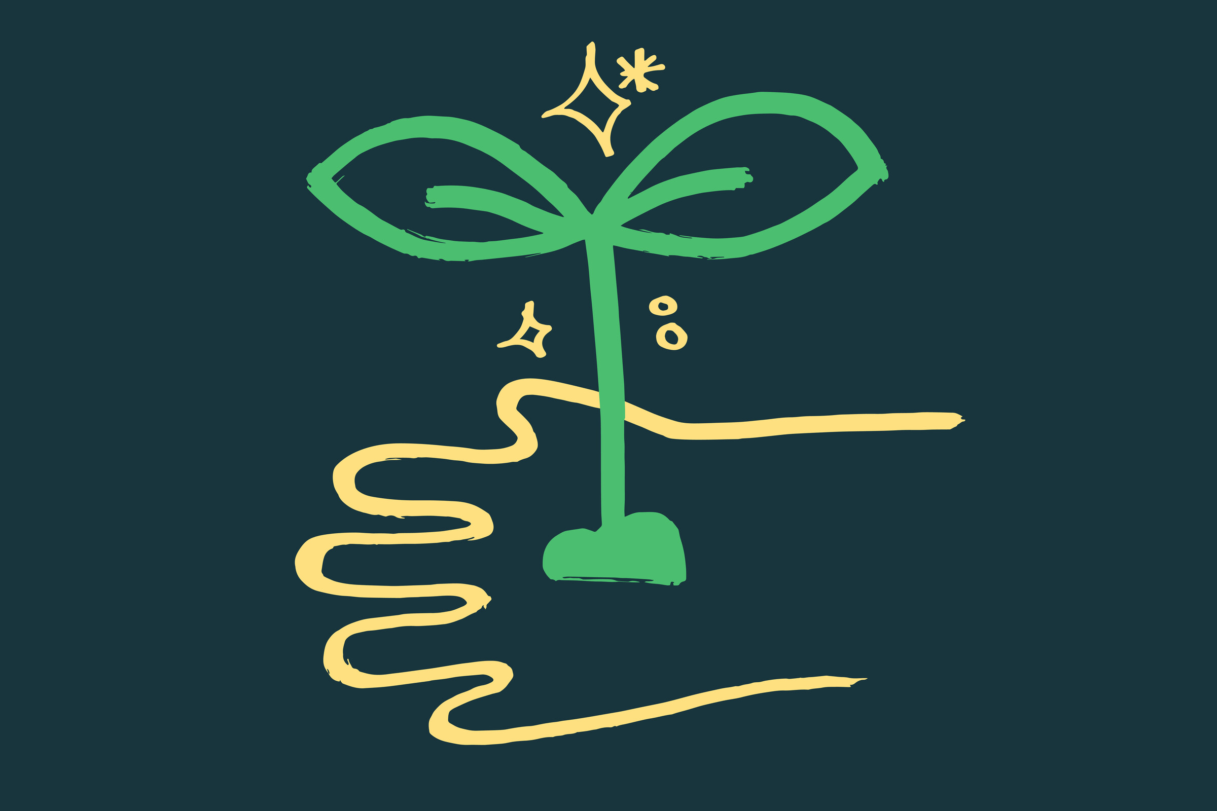 MidCoast Council | Our work | Headjam Creative Agency | Newcastle, NSW